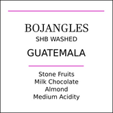 Buy Freshly Roasted Coffee Beans Online – Pebble & Pine Coffee